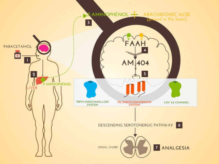 Reverser translational research - Neuroservice blog and news