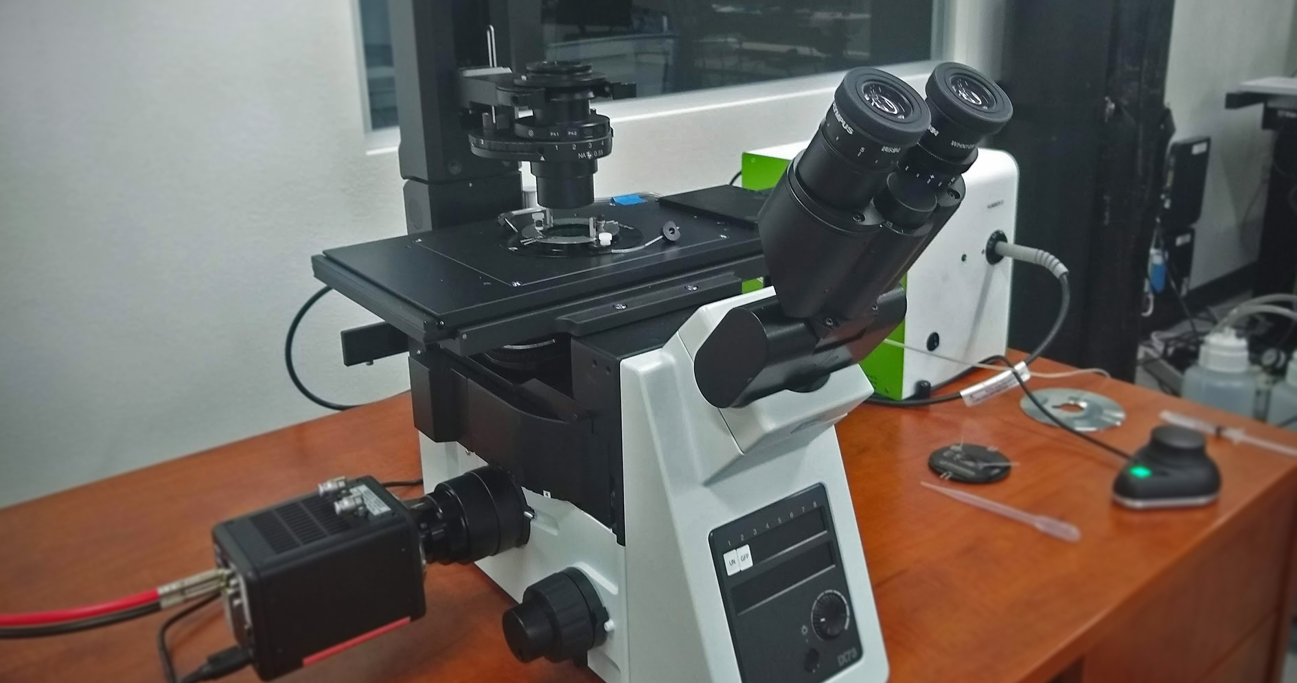 Calcium Imaging - Neuroservice