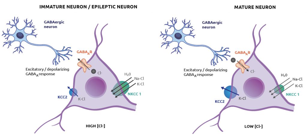 Experimental scientific support to drug discovery programs targeting ...