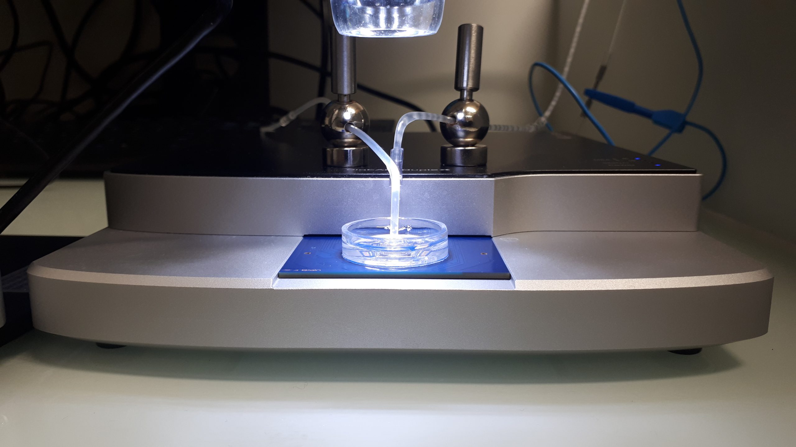 High-Density MEA - Neuroservice