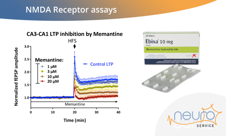Neuroservice lab NMDA Receptor assay - Neuroservices-Alliance