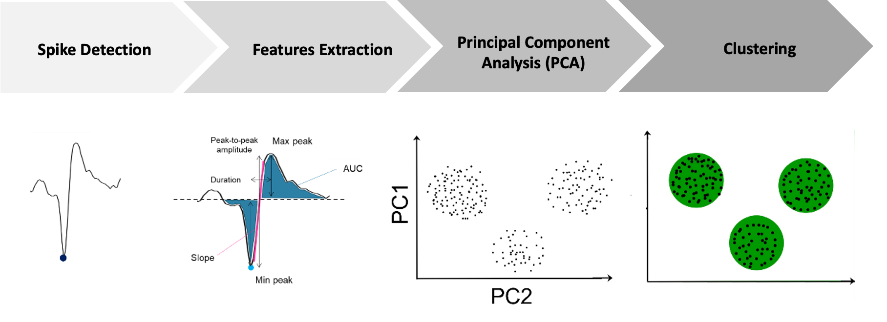 Revolutionizing CNS Drug Discovery Research with Cutting-Edge ...