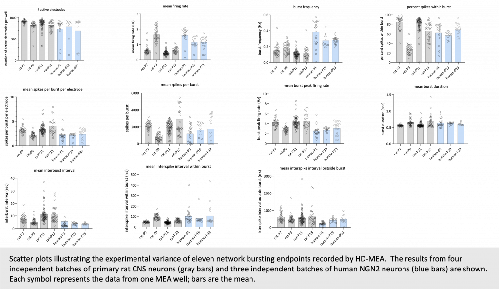 Electrophysiological profiling the functional properties of human NGN2 ...